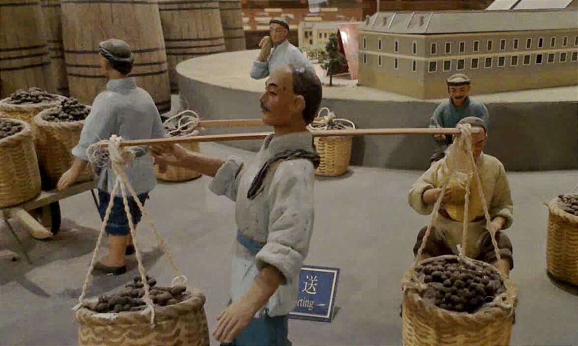 Q&8: Kathleen Burk on her new book, “Wine: A Global History” – Grape ...